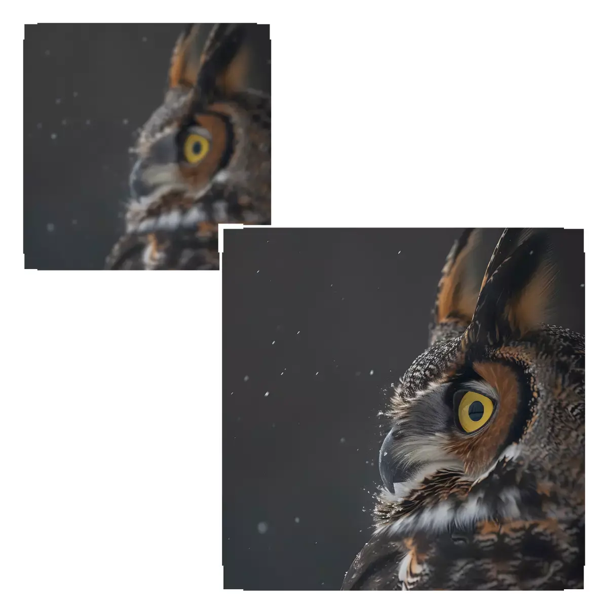 JPG Enhancer (AI JPG Enhancer & Image Upscaler)